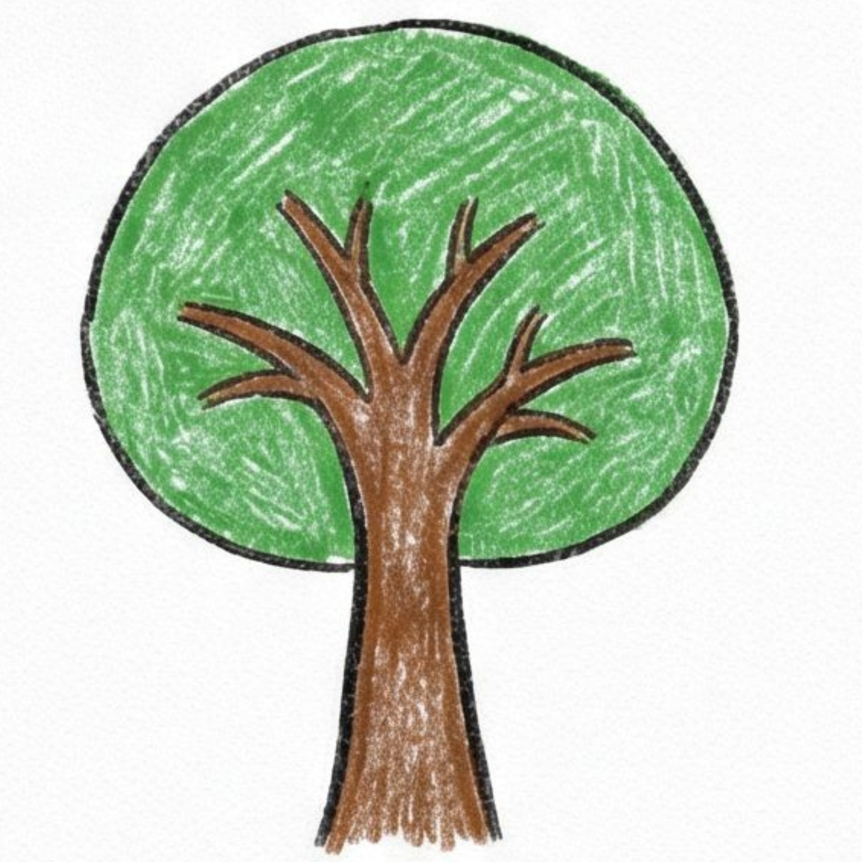 How To Draw A Tree Without Leaves Step By Step For Kids